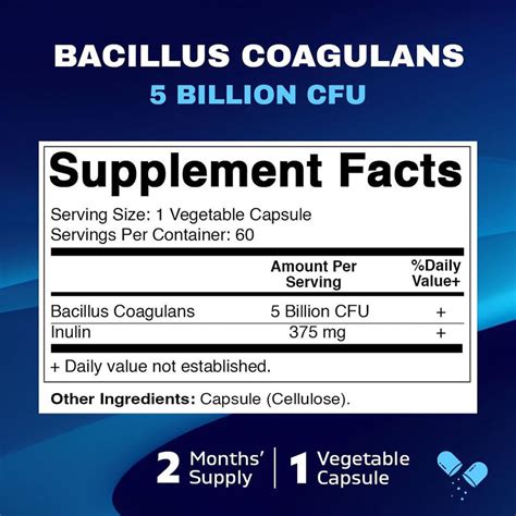 Bacillus Coagulans Probiotic Capsules 5 Billion Cfu With Prebiotic