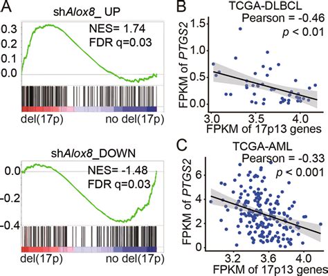 Upregulation Of Cyclooxygenase Pathway In Lymphoma Patients With Download Scientific Diagram