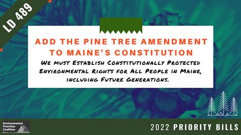 Pass The Pine Tree Amendment