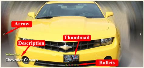 Wordpress Gallery Plugin Free Download