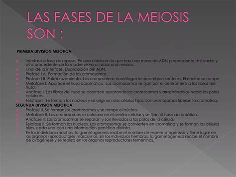 Divición Celular Mitosis Y Meiosis Pptx