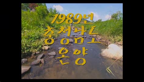 이슈유머 드라마 소년은 꿈이 있어야 하는 법이여 나의 꿈은 말이여 아주 소박햐if