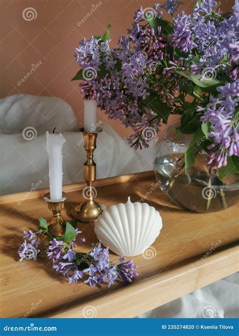 Sea Shell In The Form Of Female Genitalia Vagina Royalty Free Stock Image Sea Shell In The Form Of Female Genitalia Vagina Royalty Free Stock Image