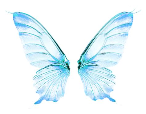 Realistic Fairy Wings Drawing Drawing Improvement Challenges