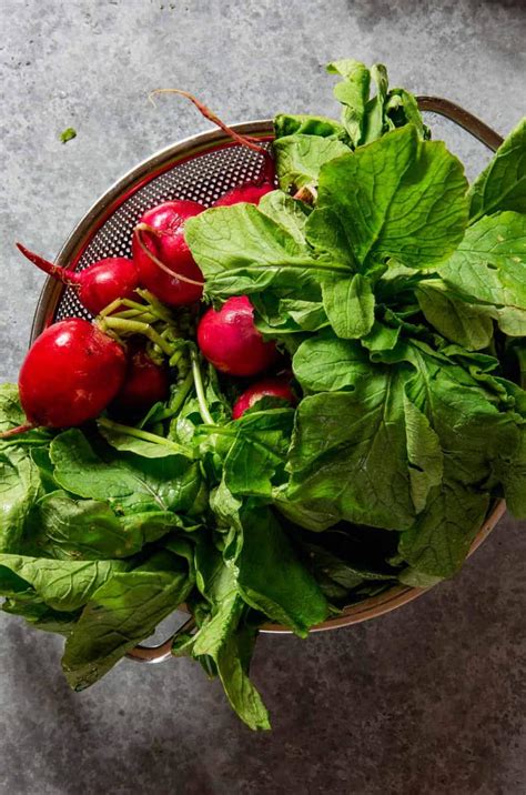 Radish Leaves Curling At Sandra Miles Blog
