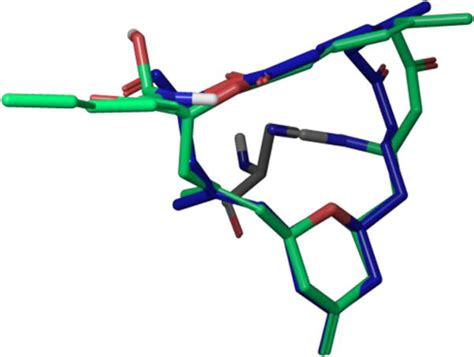 Conformation Activity Relationships Of Polyketide Natural Products Abstract Europe Pmc