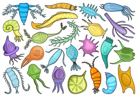 Plankton Vector Icon Color Vector Icon Isolated On White Background Plankton Stock Vector