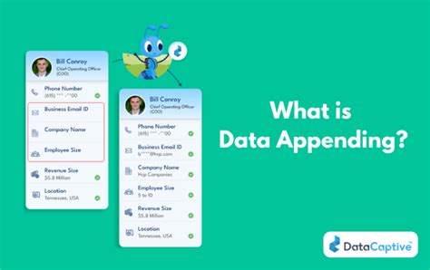 What Is Data Appending Types Benefits And Impact
