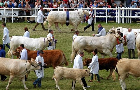Royal Highland Show Organisers Post Record Turnover Press And Journal