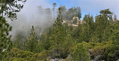 Top Big Bear Lake Hike Pineknot Trail Is A Winner