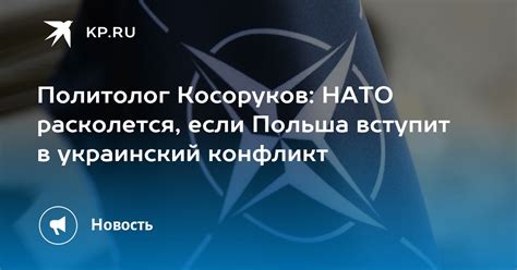 Политолог Косоруков НАТО расколется если Польша вступит в украинский конфликт Kp Ru