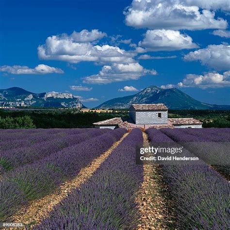 Valensole Photos And Premium High Res Pictures Getty Images