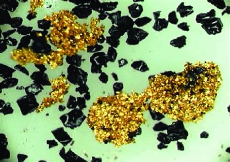 Image Of Optical Microscope Of The Bioadsorbent Prepared From Residue