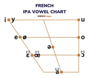 What Is An Ipa Symbol The Key To Pronunciation Superpowers