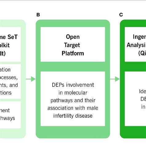 Bioinformatic Analysis Conducted By Using A Web Based Gene Set Download Scientific Diagram
