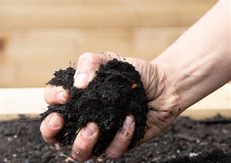 Common Gardening Issues Caused By Poor Soil Health And How To Solve Them Gardenary