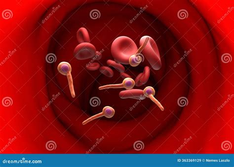 Clostridium Tetani Bacteria Royalty Free Illustration Cartoondealer