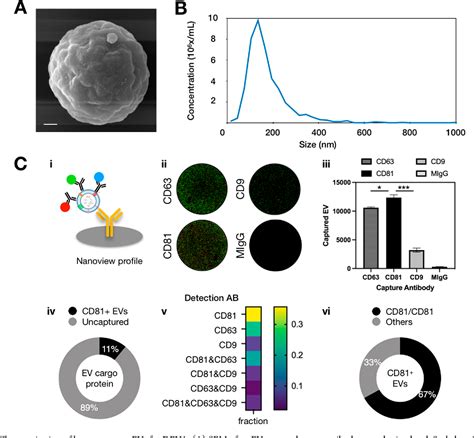 Figure 4 From Ultrasensitive Single Extracellular Vesicle Detection