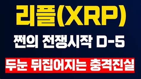 리플 쩐의 전쟁의 시작 지금부터가 가장 중요합니다 두눈 뒤집어지는 충격적인 진실 지금 빨리 대응하셔야 합니다 Xrp 리플