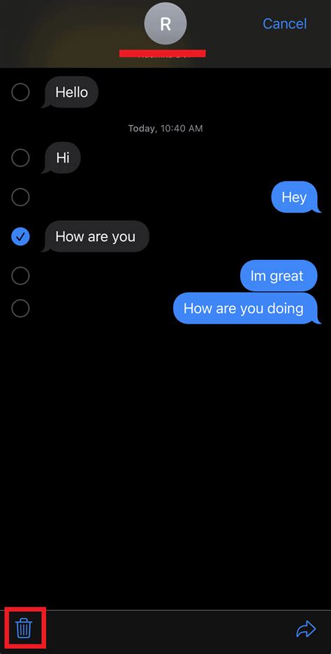 How To Delete Messages On Iphone From Both Sides Techcult