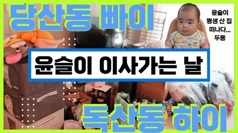 Ep23 4개월 아기 데리고 이사가기 보라 생일날 이사 당산동 빠이 독산동 하이 신생아 브이로그 아빠가 만드는 성장vlog 포장이사 이사 후정리