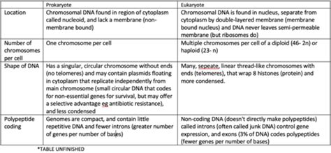 5 3 Dna And Polypeptide Synthesis Why Is Polypeptide Synthesis Important Flashcards Quizlet
