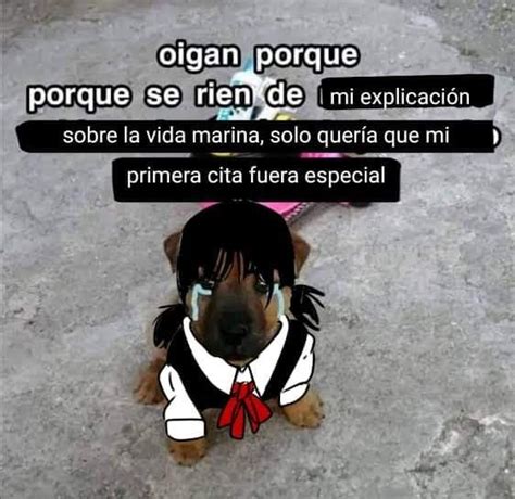 R Illoganga