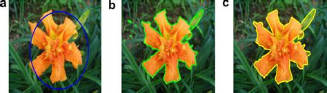 Figure 2 From A Geometric Active Contour Model Without Re Initialization For Color Images