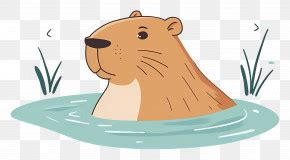 Capybara Illustration In Water Images Capybara Illustration In Water