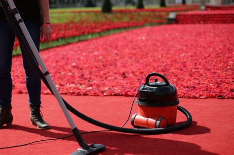 45 An Hour Offered For Women To Clean Private Homes Naked BelfastTelegraph Co Uk