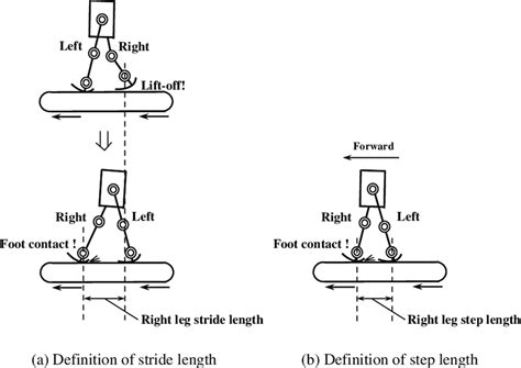 Definitions Of The Stride Length Left And The Step Length Right