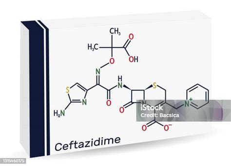 세프타지디메 분자 세팔로리딘에서 유래한 세팔로스포린 반합성 항균 항생제입니다 의약품용 용지 포장 0명에 대한 스톡 벡터 아트 및 기타 이미지 Istock