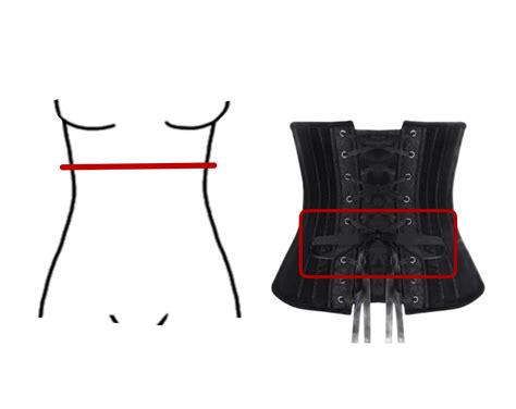 934 Best R Corsets Images On Pholder At What Height Should I Put The