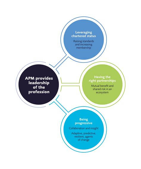 Inspiring Positive Change APM Strategy