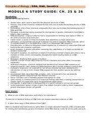Module Study Guide Docx Principles Of Biology DNA RNA Genetics M O D U L E S T U DY G U