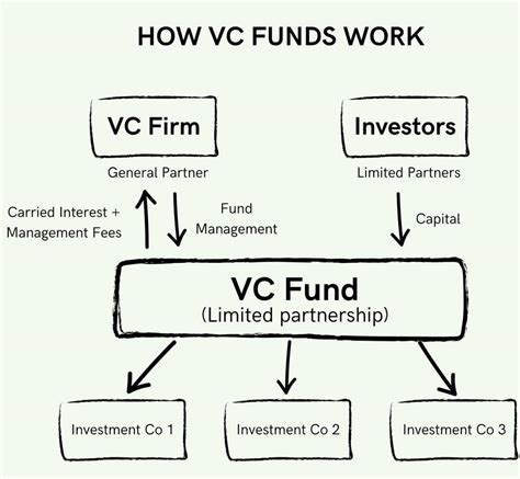 How Vc Funds Work Lps And Gps Explained Coin Listing Insights