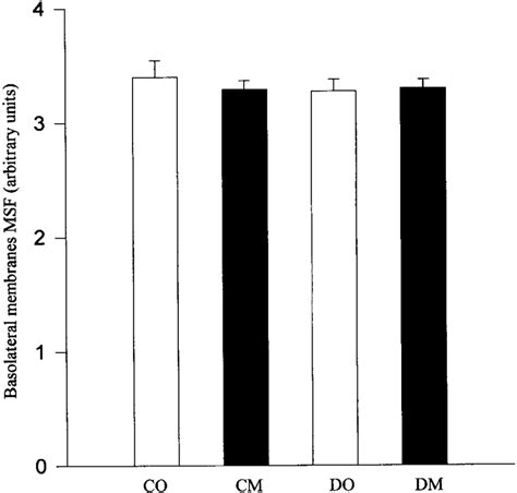 Quantitative Determination Of Basolateral Membrane 1subunit Mean Download Scientific Diagram