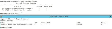 Nsx T Logical Routing Architecture Part 2 Vmware By Broadcom