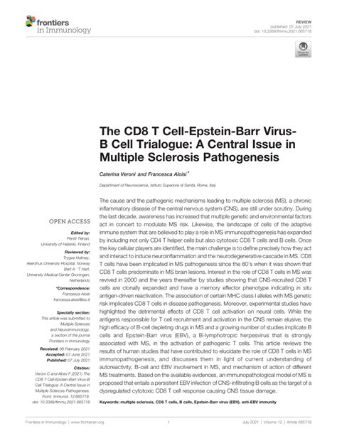 Pdf The Cd8 T Cell Epstein Barr Virus B Cell Trialogue A Central Issue In Multiple Sclerosis