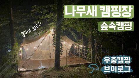 숲속에 집지어놓은 듯한 캠핑장 ㅣ 나무새 캠핑장ㅣ숲속 캠핑장 추천ㅣ캠핑브이로그 Youtube