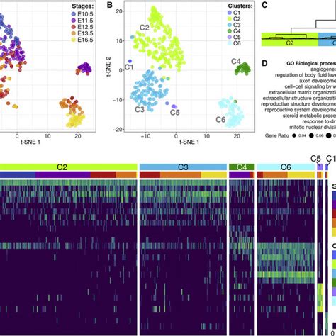 Clustering And Identification Of The Cell Populations A And B Download Scientific Diagram