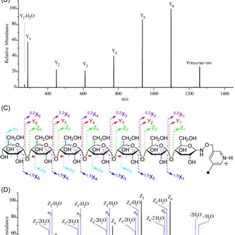 A The Fragmentation Patterns Observed Following The Cid Of The