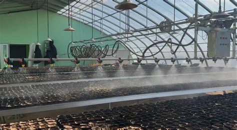 Дорноговь аймгийн нутагт байгуулагдаж буй Мод үржүүлгийн агропаркийн үйл ажиллагаатай танилцаж