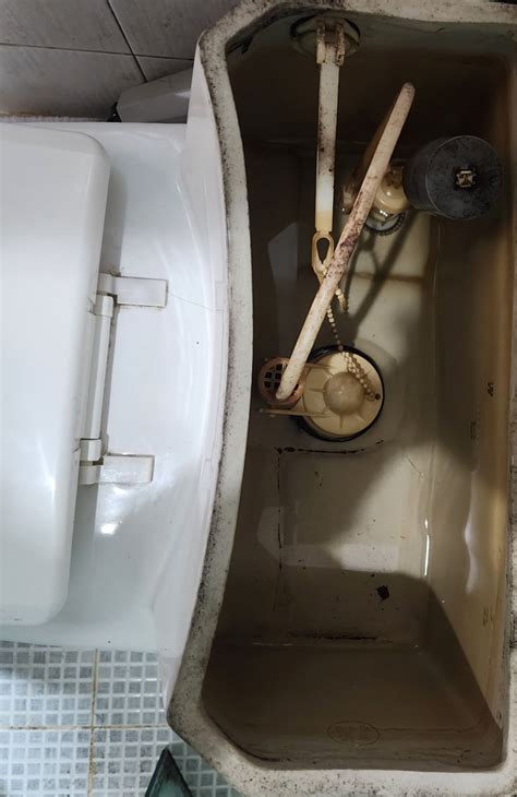 변기 물탱크에 물이 멈추질 않아요~ 양변기 변기 부속 필밸브 교체 부산광역시 동래구 명장동 주택수리종합 당근 비즈 소식