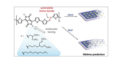 Impact Of Molecular Design On Degradation Lifetimes Of Degradable Imine