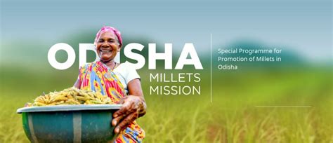Odisha Millets Mission Urban Internship Programme Watershed Support Services And Activities