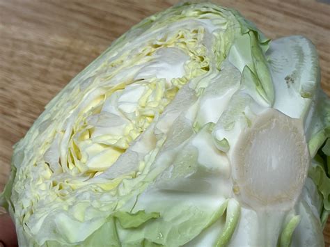 양배추 그냥 냉장고에 두지 마세요 이것을 덮었더니 먹는 내내 싱싱합니다 텐꿀팁