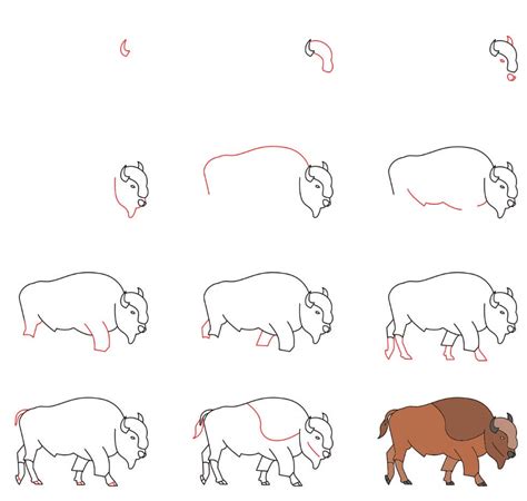 20 Easy And Cute Bison Drawing Ideas Drawing Photos