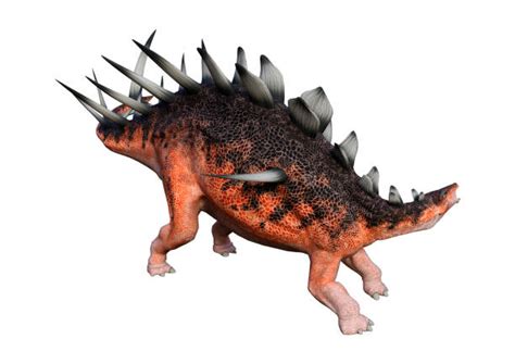140 Kentrosaurus Foto Stock Immagini E Fotografie Royalty Free Istock