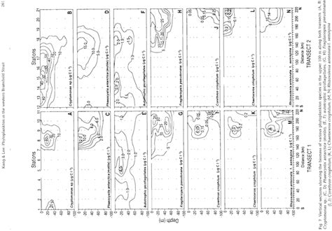 Vertical Sections Showing The Biomass Of Various Phytoplankton Species